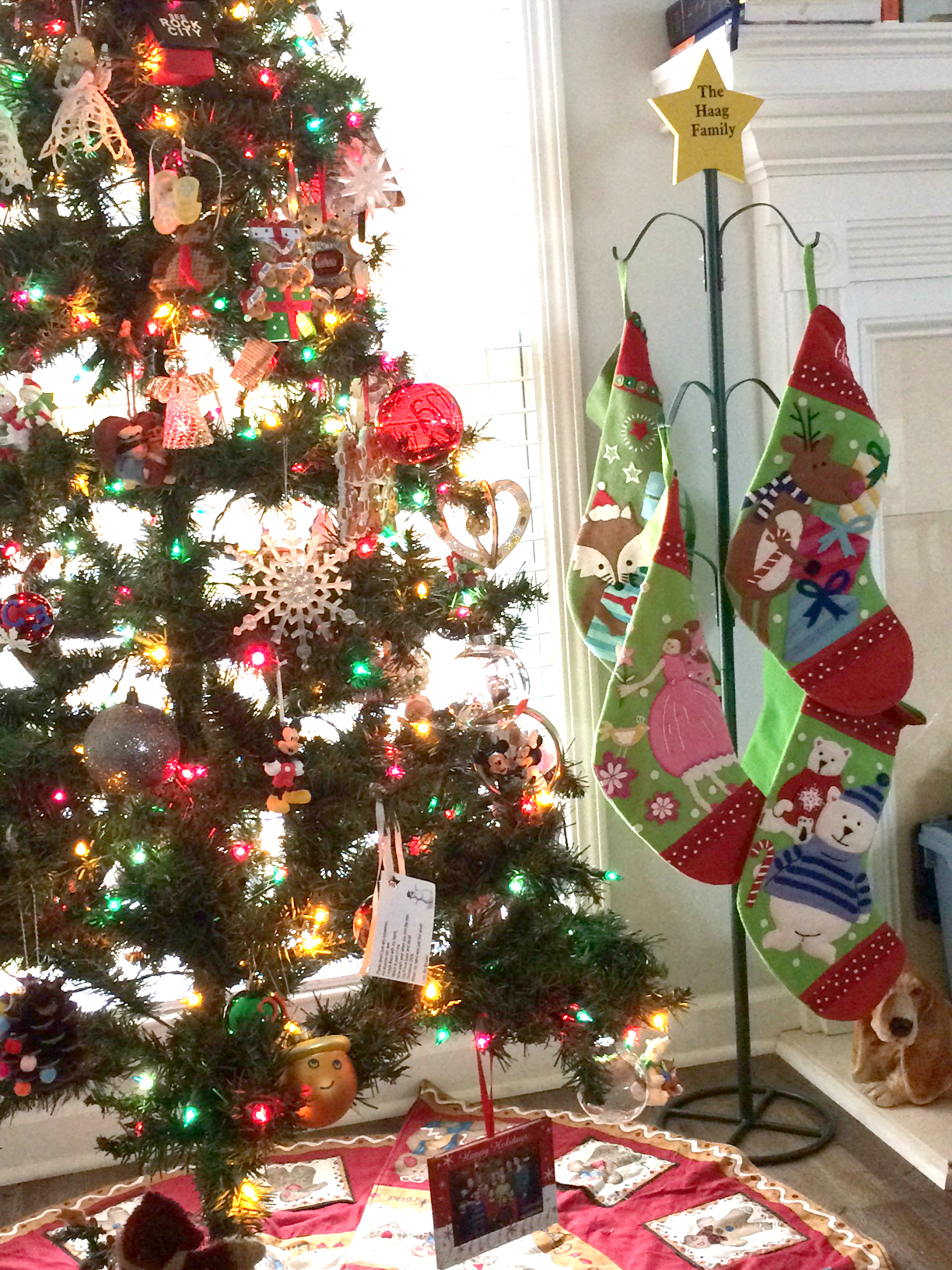 Personalized Stocking Stand – Holds Up to 6 Stockings