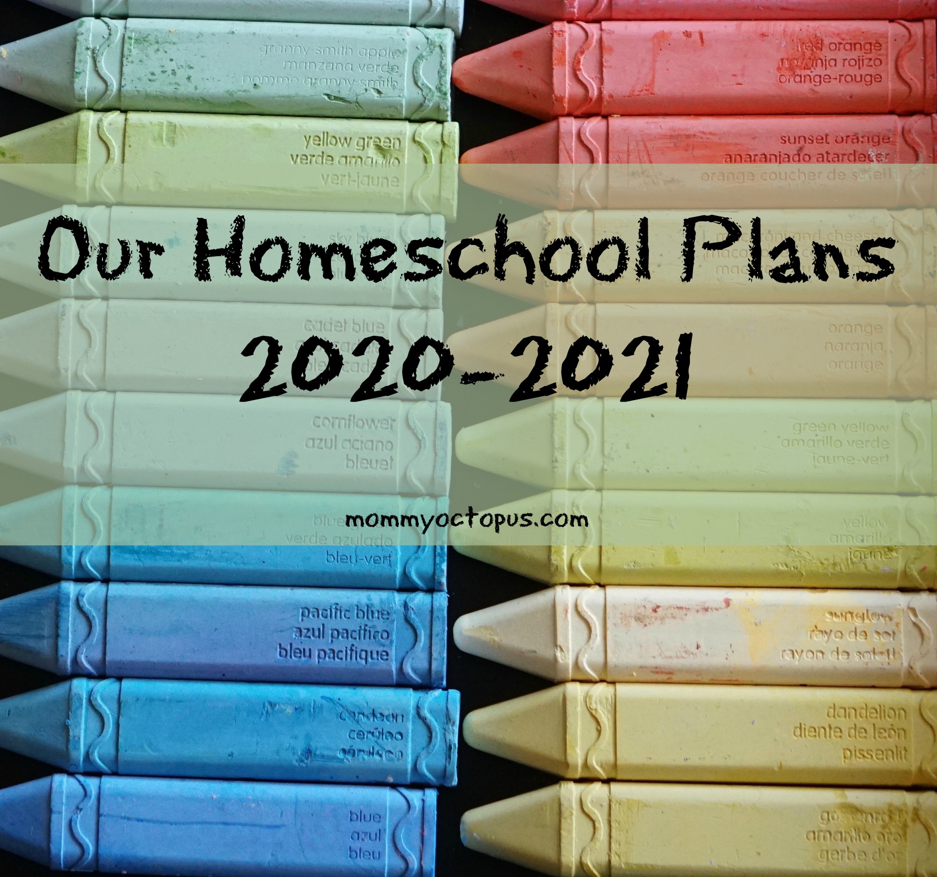 Our Homeschool Plans 2020-2021